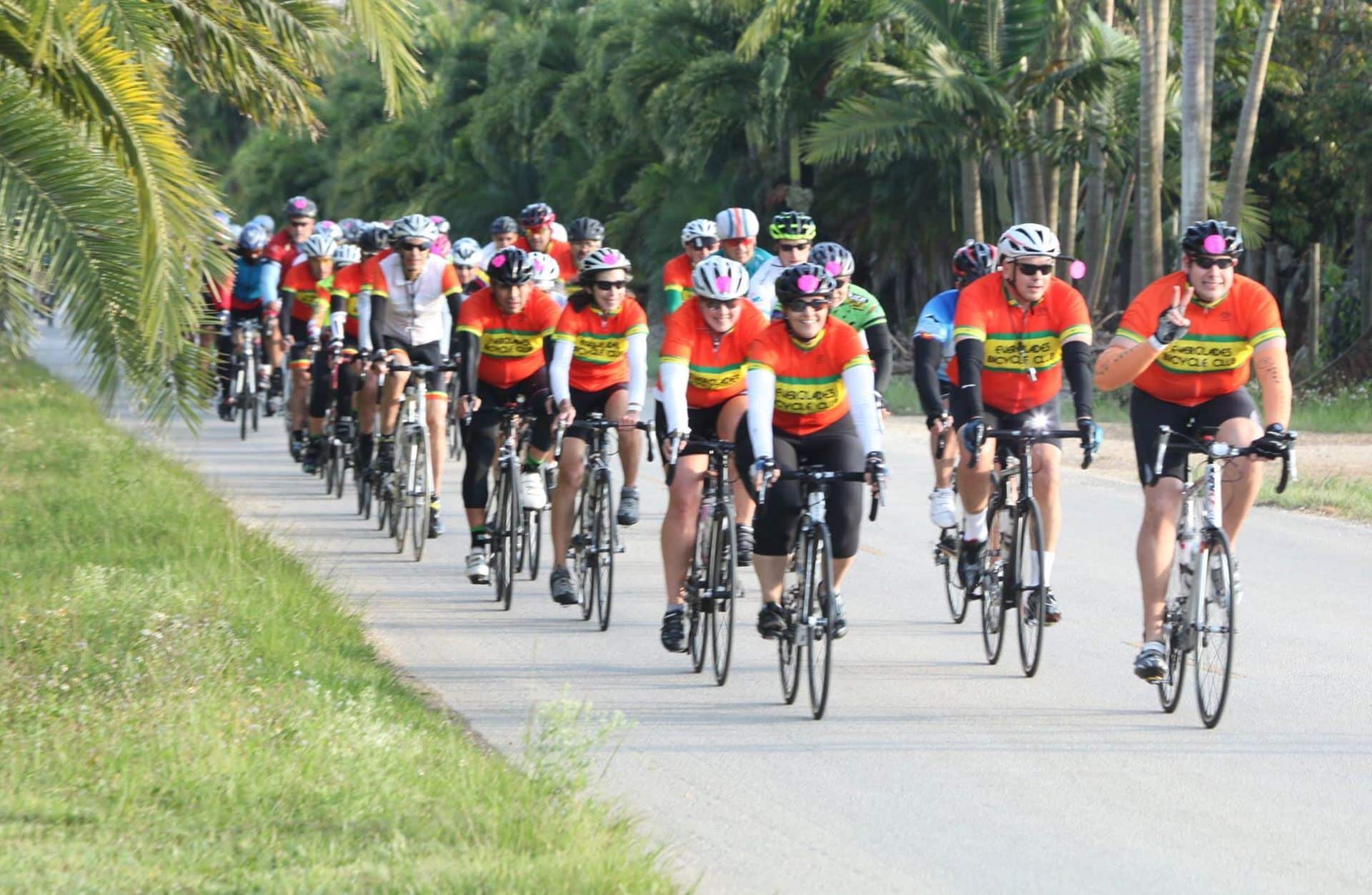 Cycling Safety in Group Rides and "Pace Lines" - Lesser, Landy, Smith ...